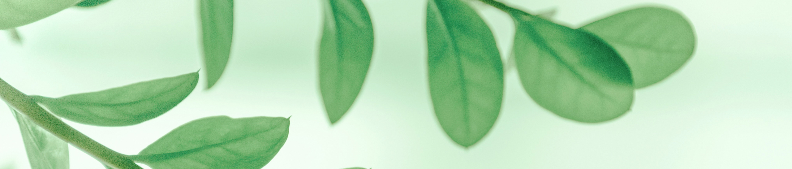 SUSTAINABILITY PROGRAMS – IEM Waste & Recycling Resources